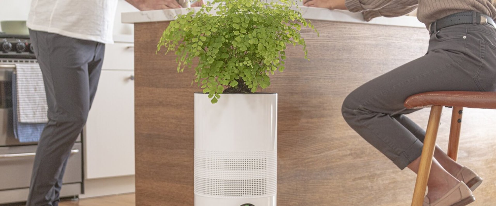 NASA's Air Purifier: Airocide